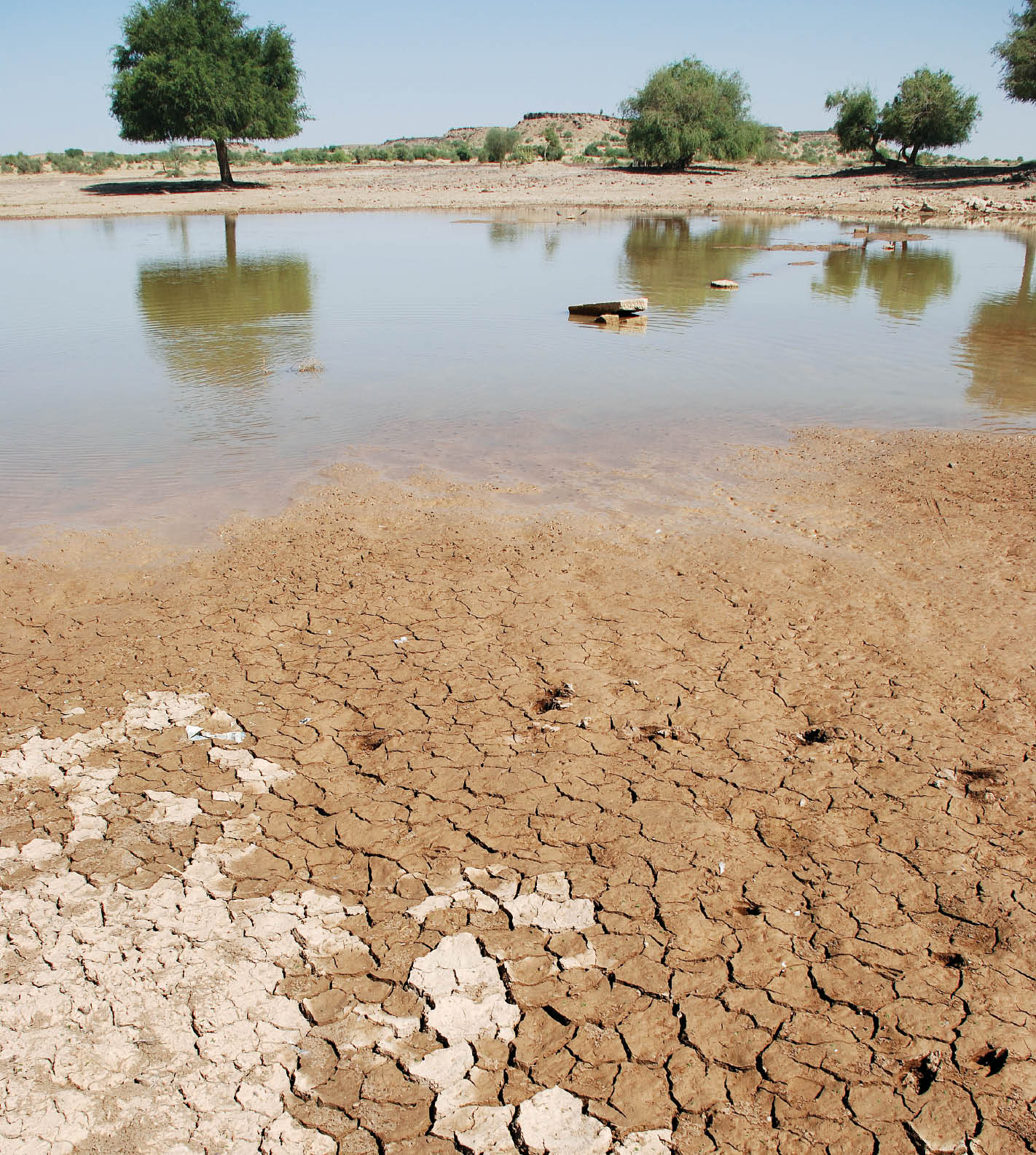GNY :: Arid Western India